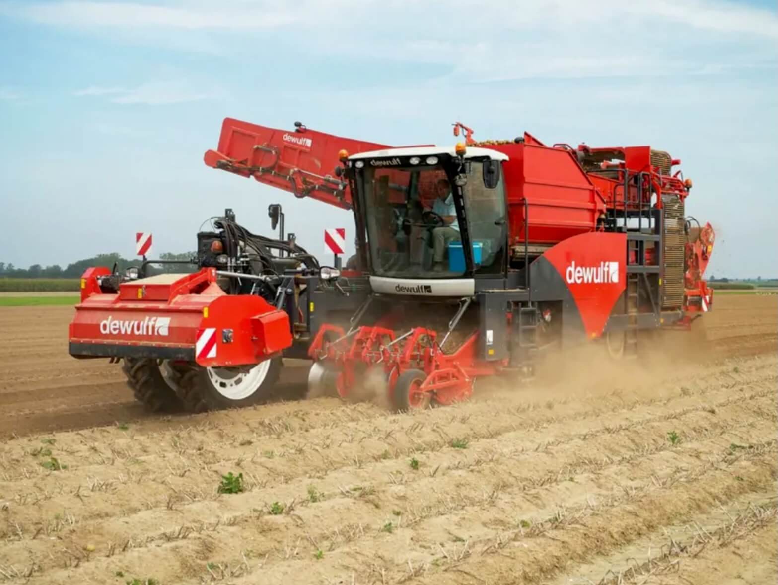 Benefits of an external project manager during a digital transformation ...